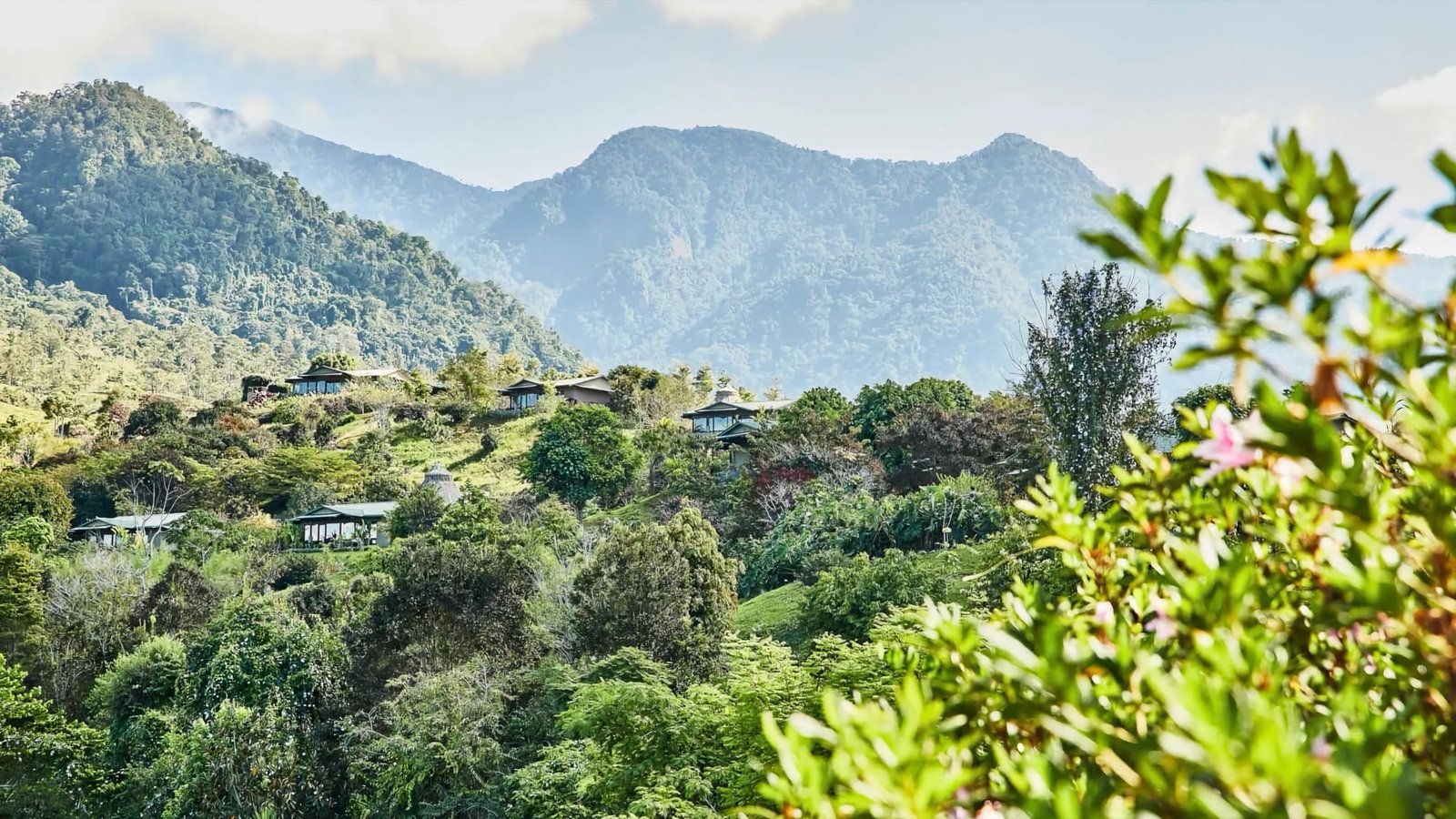 Winter Escape: Costa Rica’s Mountain Refuge for Deep Restoration ...